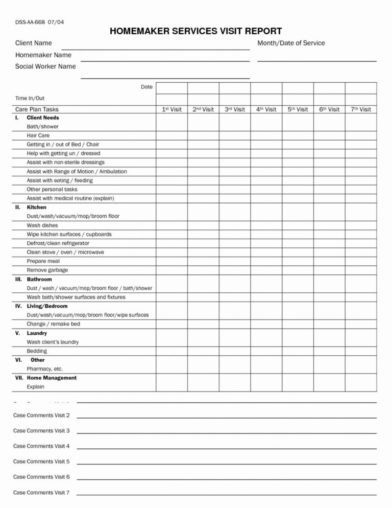 Case Management Care Plan Template