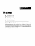 Accounting Policy Memo Template